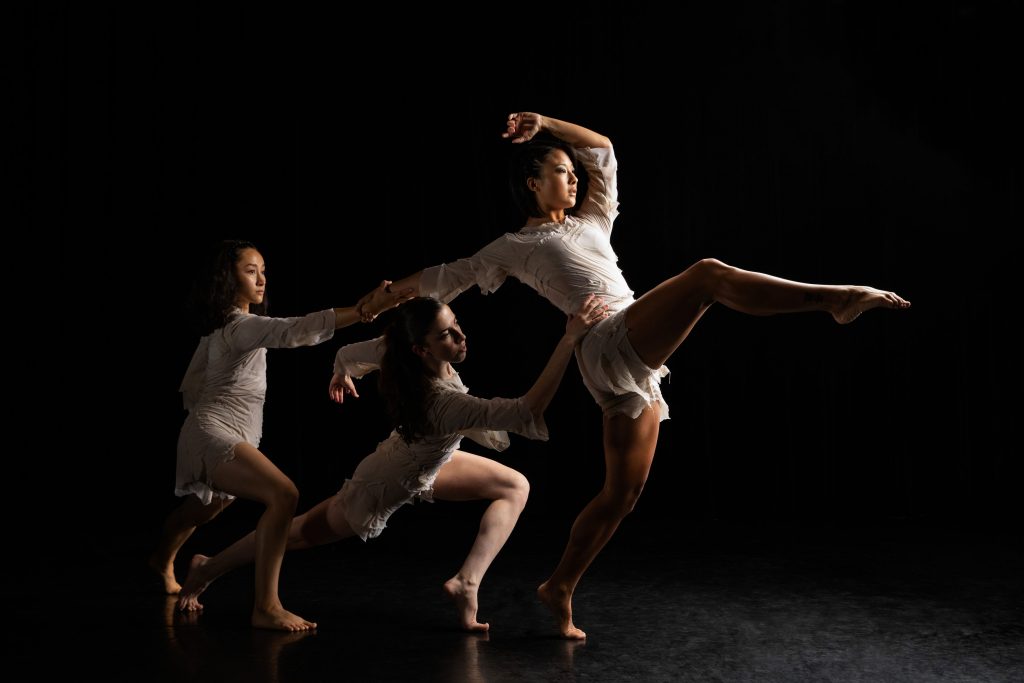 AMPLIFY Virtual Presentation Series | Dance Place